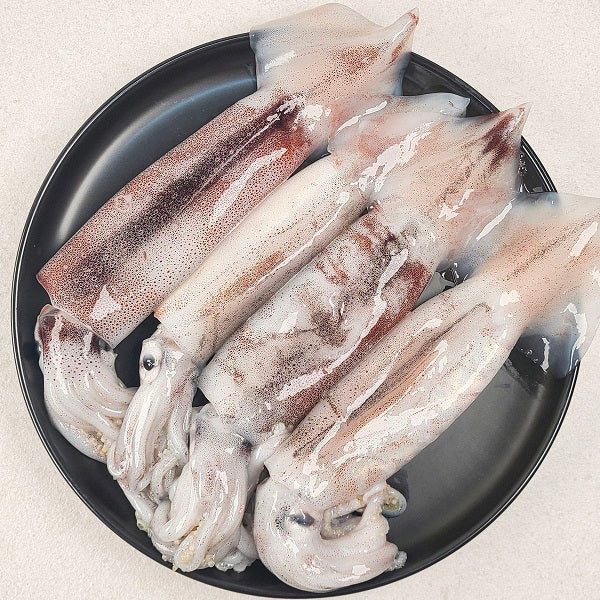 [제주바다수산] 자연산 오징어 3미 (350g 내외/원물) – hanpoom